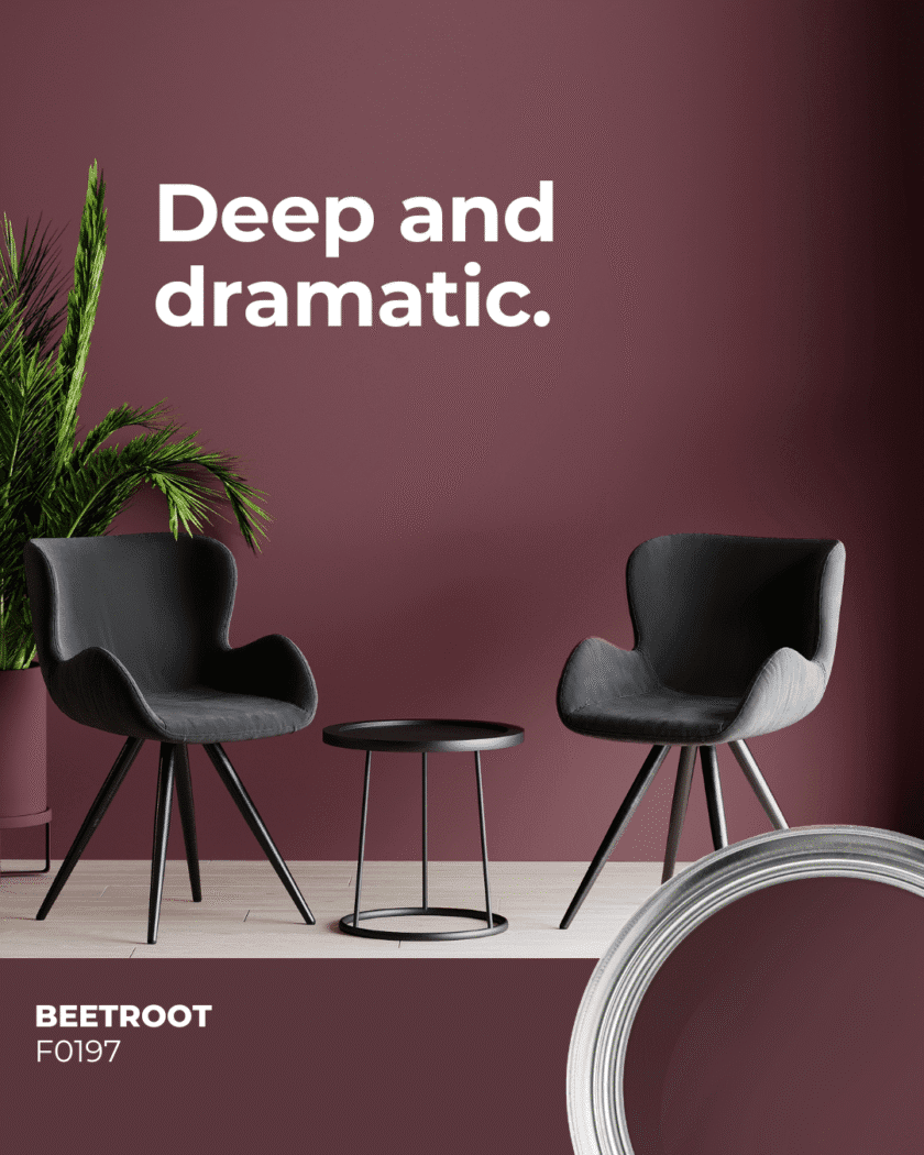 IMAGINE PAINTS, Colour Trends – Neerlandia Co-op